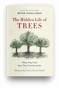 Awe-Inspiring Books About Trees - Mind Joggle