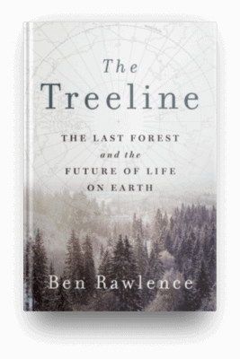 The Treeline: The Last Forest and the Future of Life on Earth Book ...