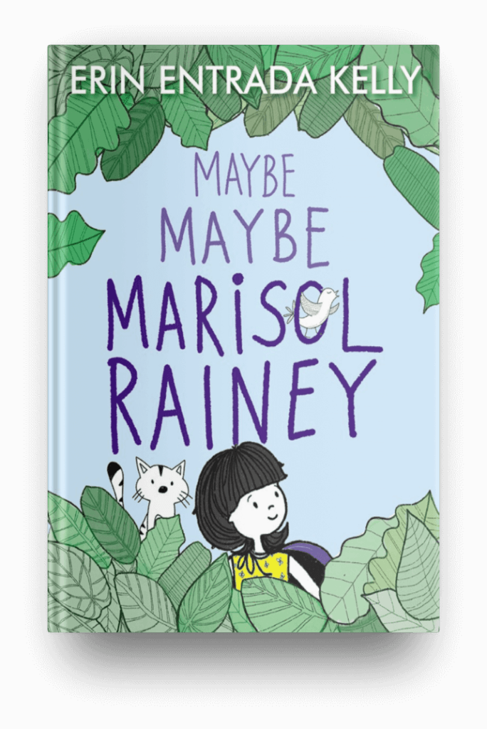 Maybe Maybe Marisol Rainey Book Summary and Review