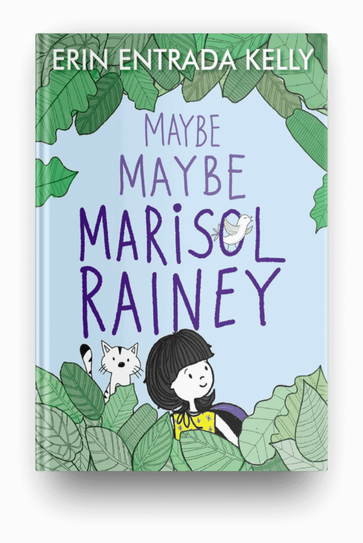 Maybe Maybe Marisol Rainey Book Summary and Review