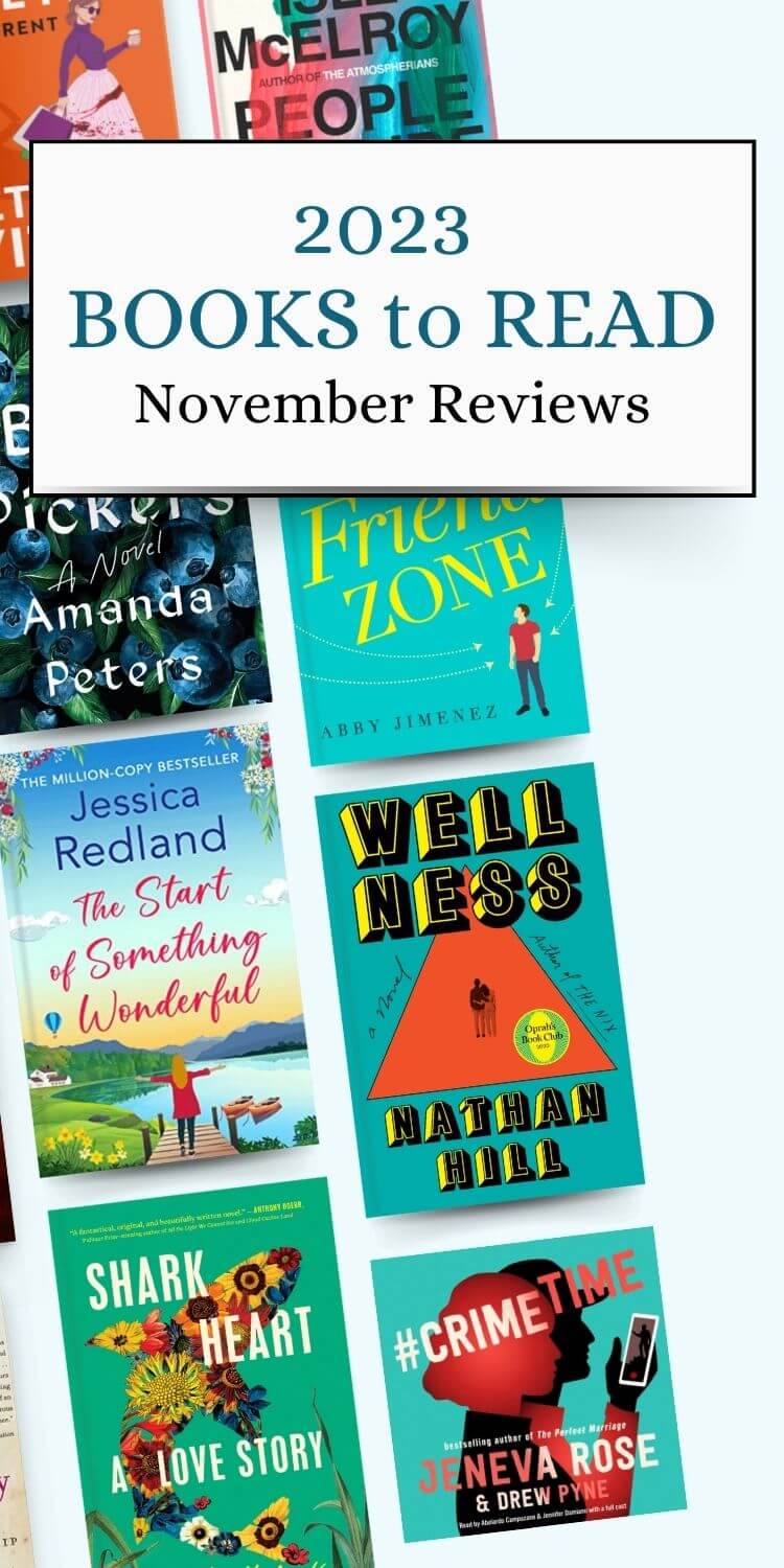 Mini-Reviews of Recent Reads - November 2023 - Mind Joggle